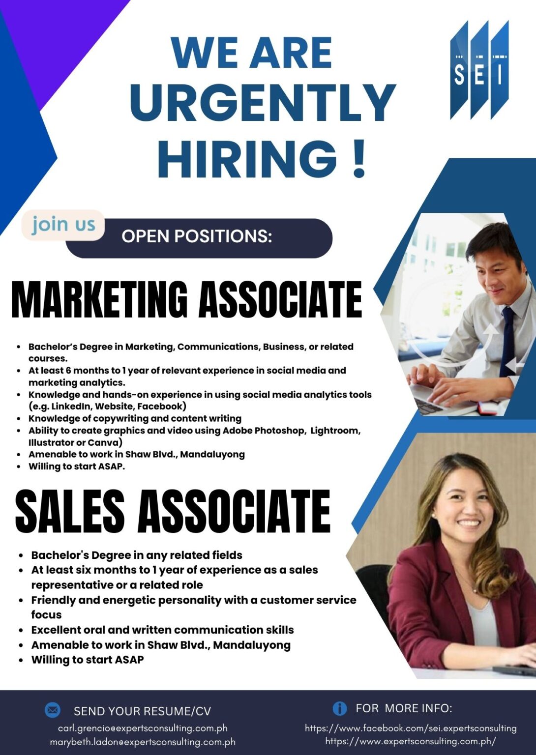 Careers – SEI Experts Consulting